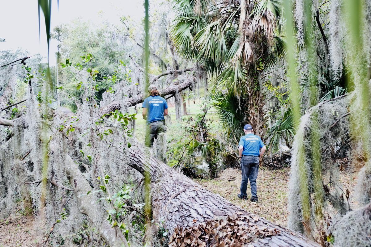 Volunteer opportunities with NECHAMA - Volunteer NECHAMA