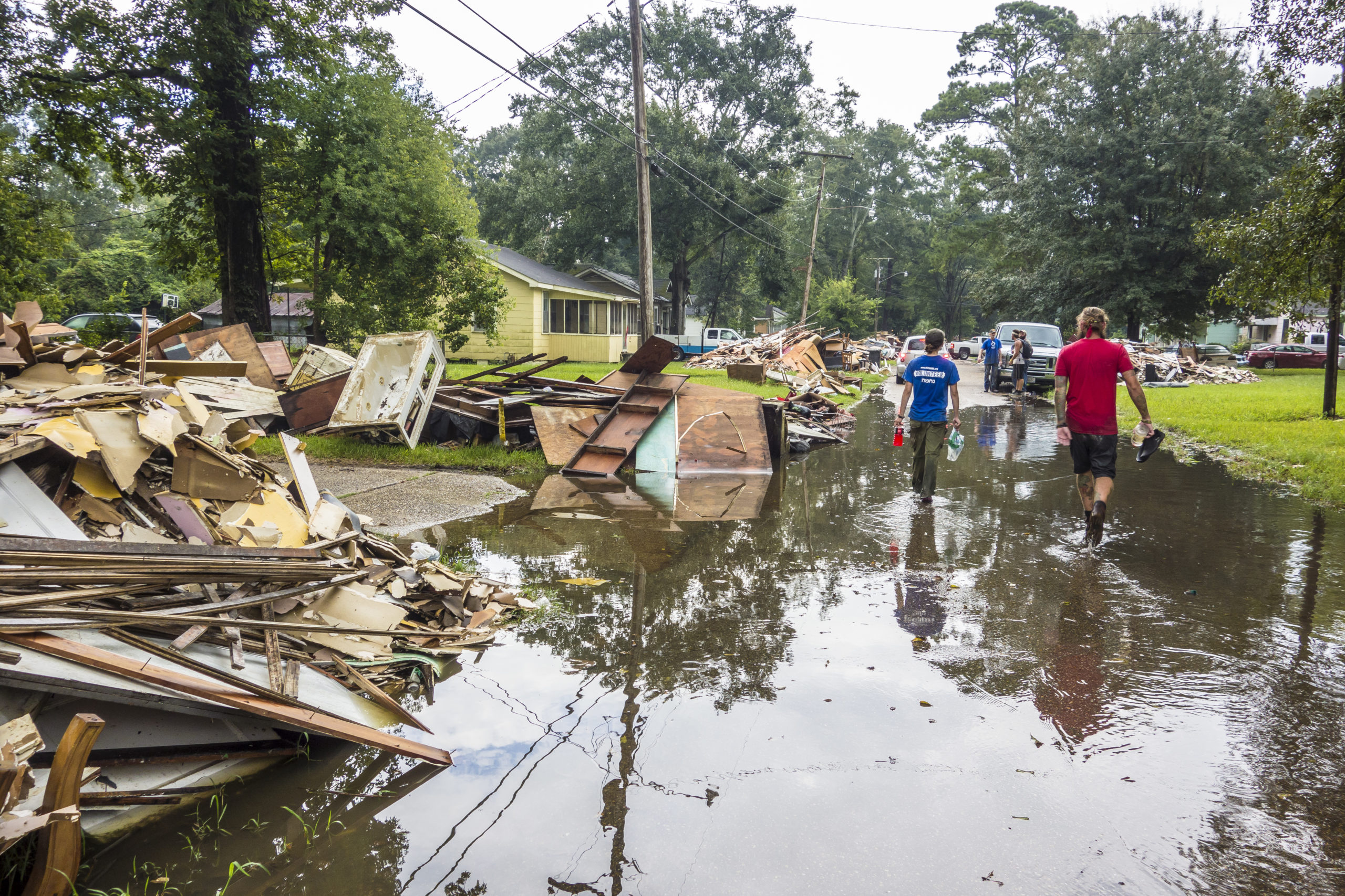 Programs - NECHAMA. Learn more about our work