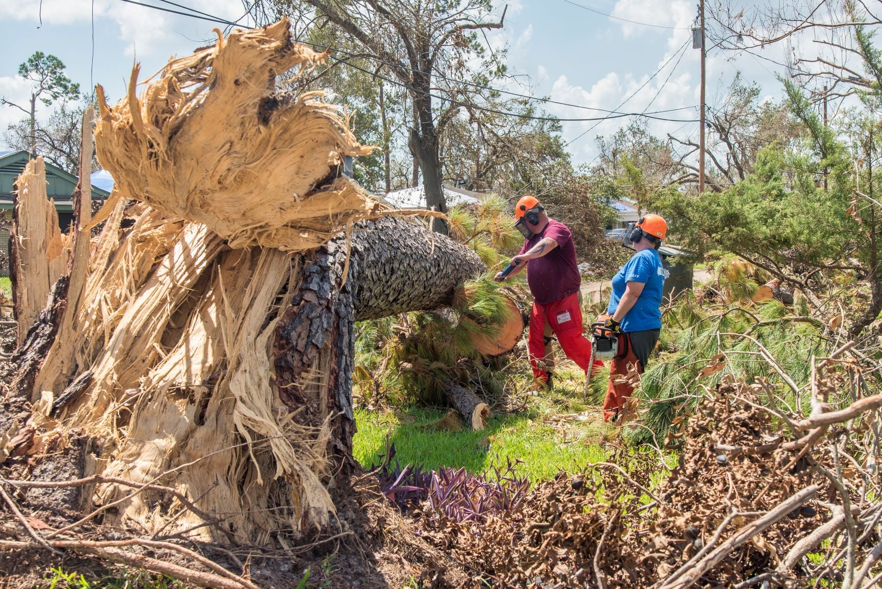 One Week In - NECHAMA