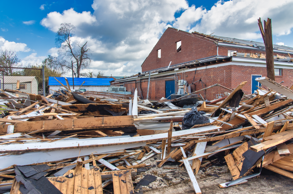 Learn more about who we are. Who we are - NECHAMA